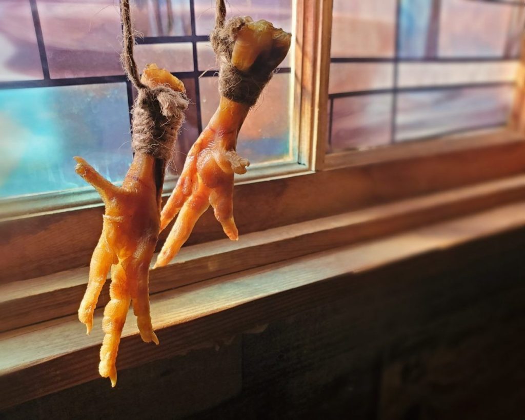 Chicken Feet, Luck Charm, Voodoo Protection, Occult Items - Oddities ...