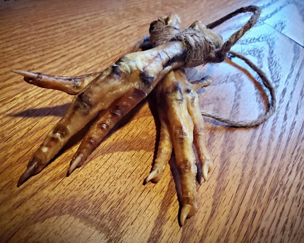 Chicken Feet, Luck Charm, Voodoo Protection, Occult Items - Oddities ...