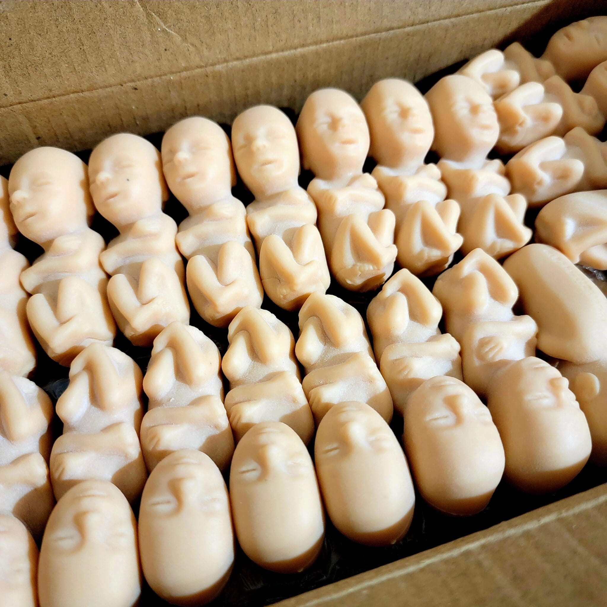 Rubber Fetus Sets, Baby Fetal Model, Weird Oddities - Oddities For Sale ...