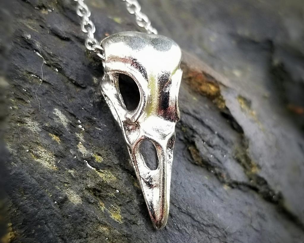 Real Cat Skull, Domestic Cat, Animal Skulls - Oddities For Sale has unique