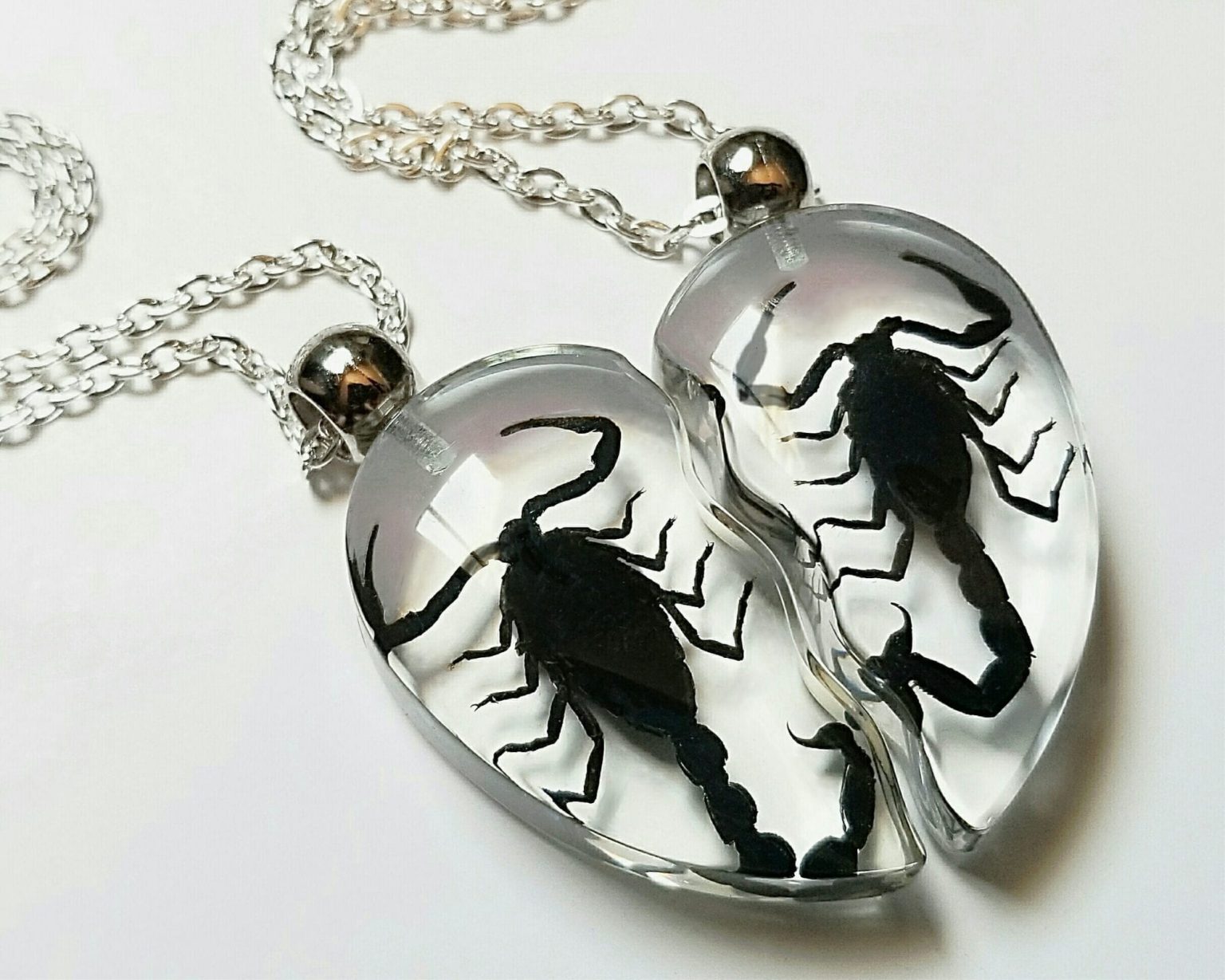 Black Scorpion Heart Necklace Set, Real Scorpions in Resin, Oddities ...