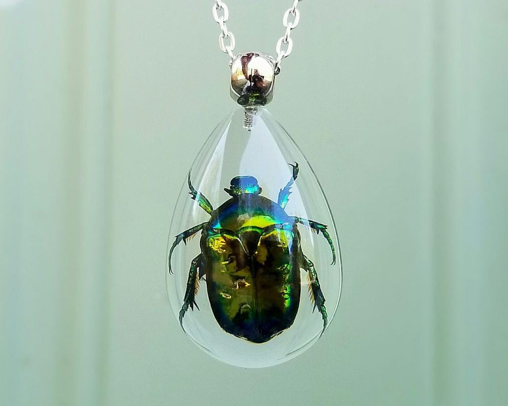Real Beetle in Resin Necklace, Insects in Lucite, Oddities, Curiosities ...