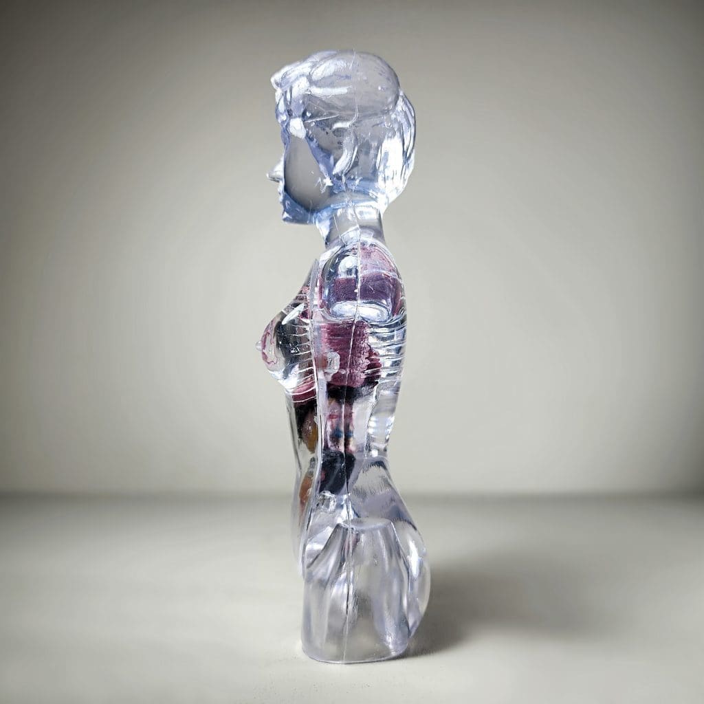 Translucent Female Torso, Human Anatomy Medical Model - Oddities For ...