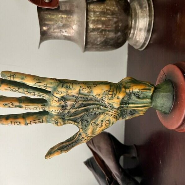 Alchemy Palmistry Hand, Alchemy Hand, Mummy Palmistry - Oddities For ...