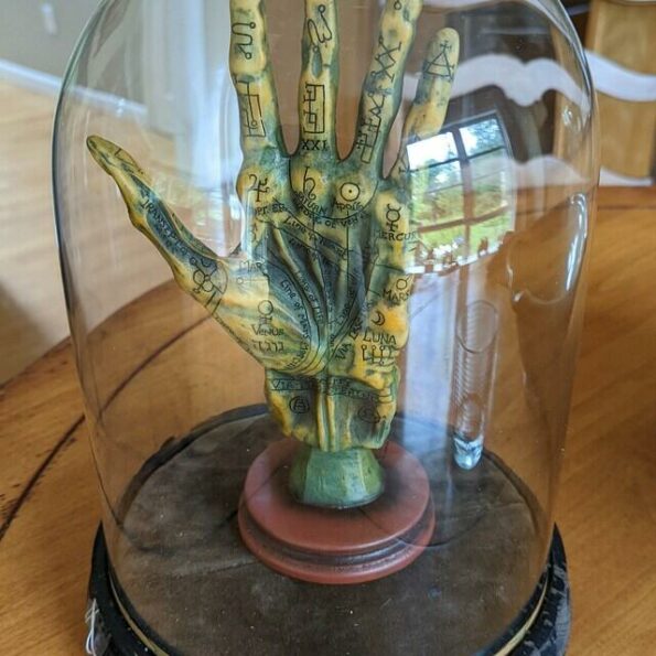 Alchemy Palmistry Hand, Alchemy Hand, Mummy Palmistry - Oddities For ...