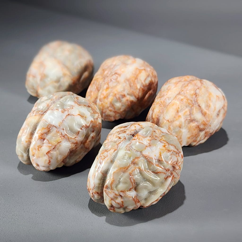 Carved Brain, Human Brain Red Net Jasper - Oddities For Sale has unique