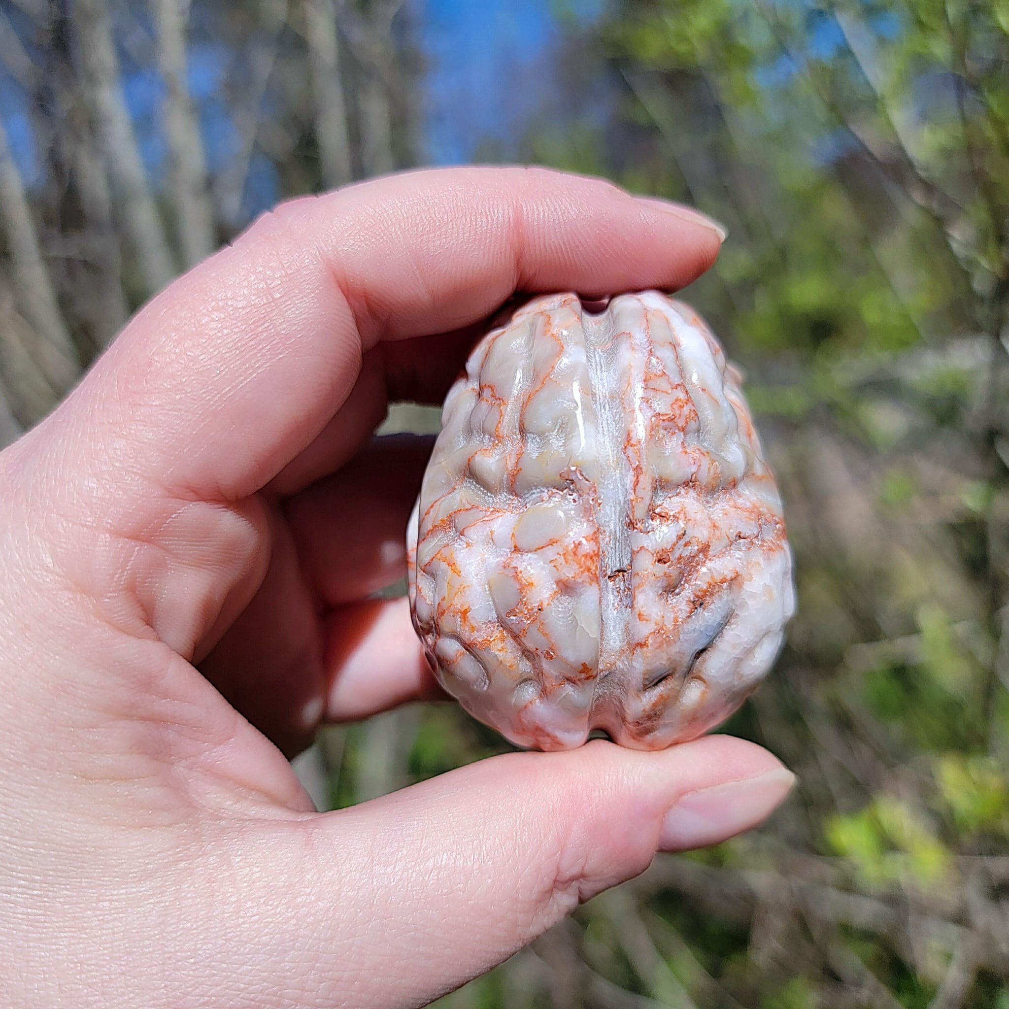 Carved Brain, Human Brain Red Net Jasper - Oddities For Sale has unique