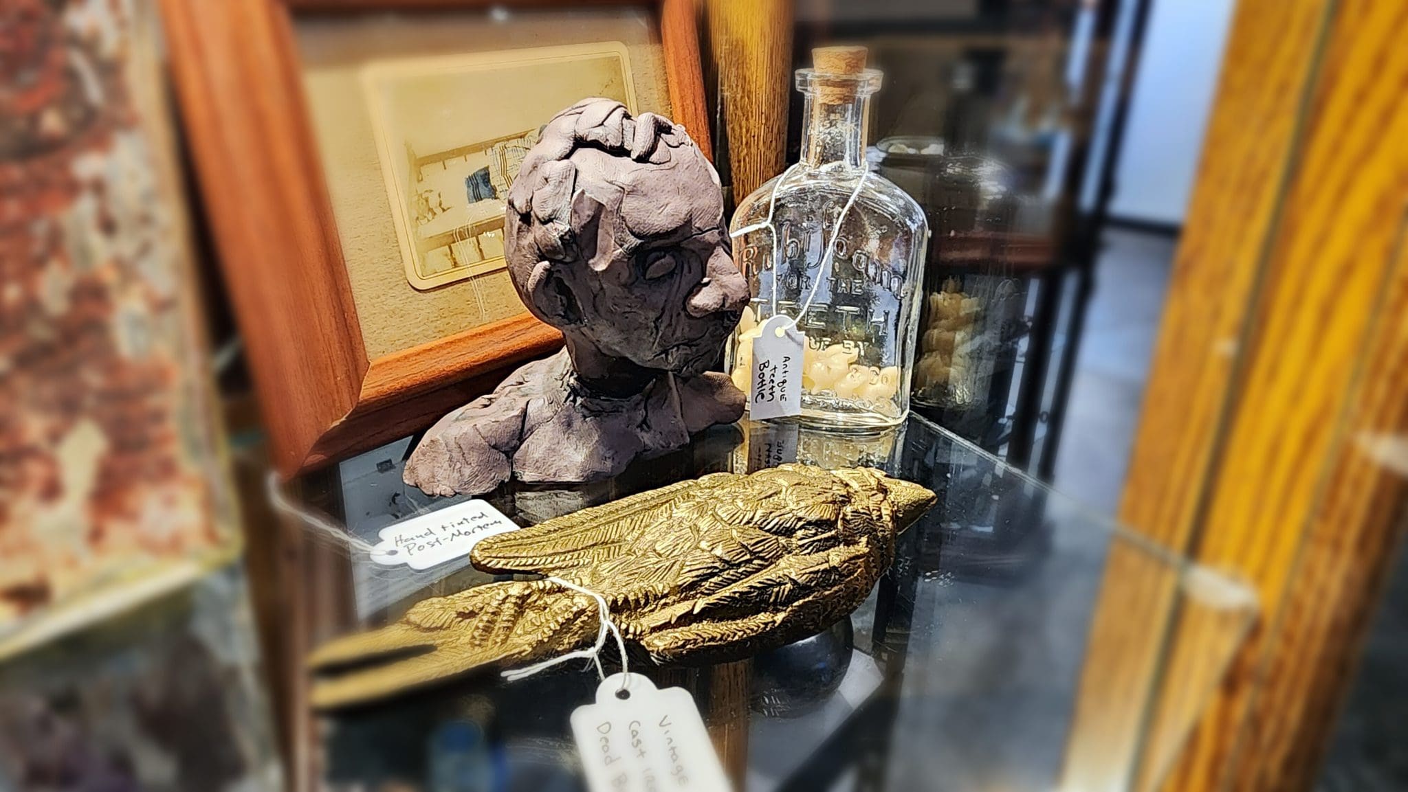 Oddity Store Online, Curiosities, Gothic Décor, Oddities Website