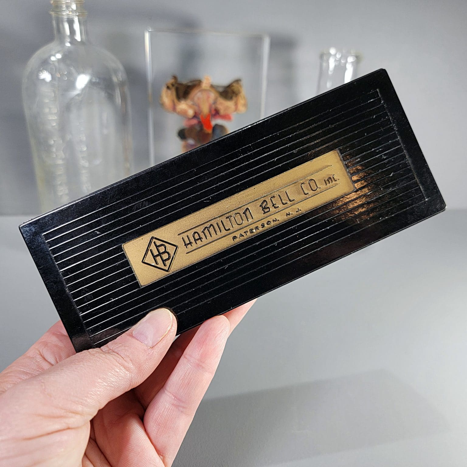 Vintage Medical Dissection Kit, Hamilton Bell Co. - Oddities For Sale ...