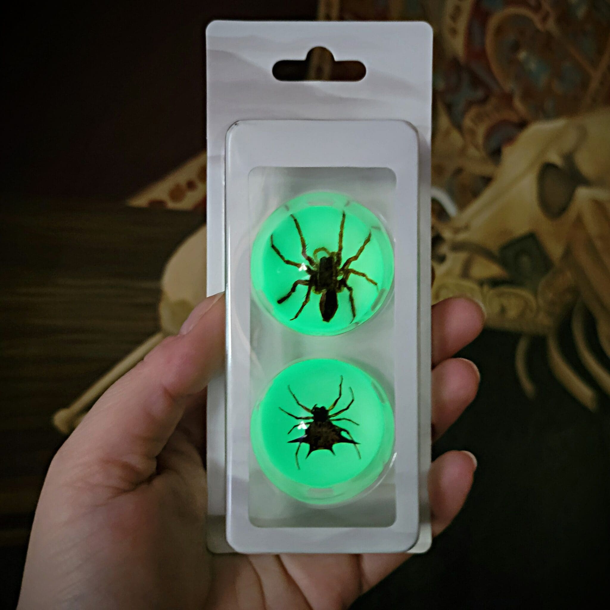 Glow Magnets, Real Spiders, Refrigerator Magnet Spiders - Oddities For ...