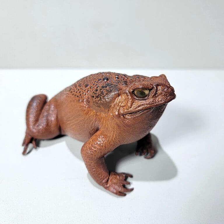 Taxidermy Toad, Real Frog - Oddities For Sale has unique